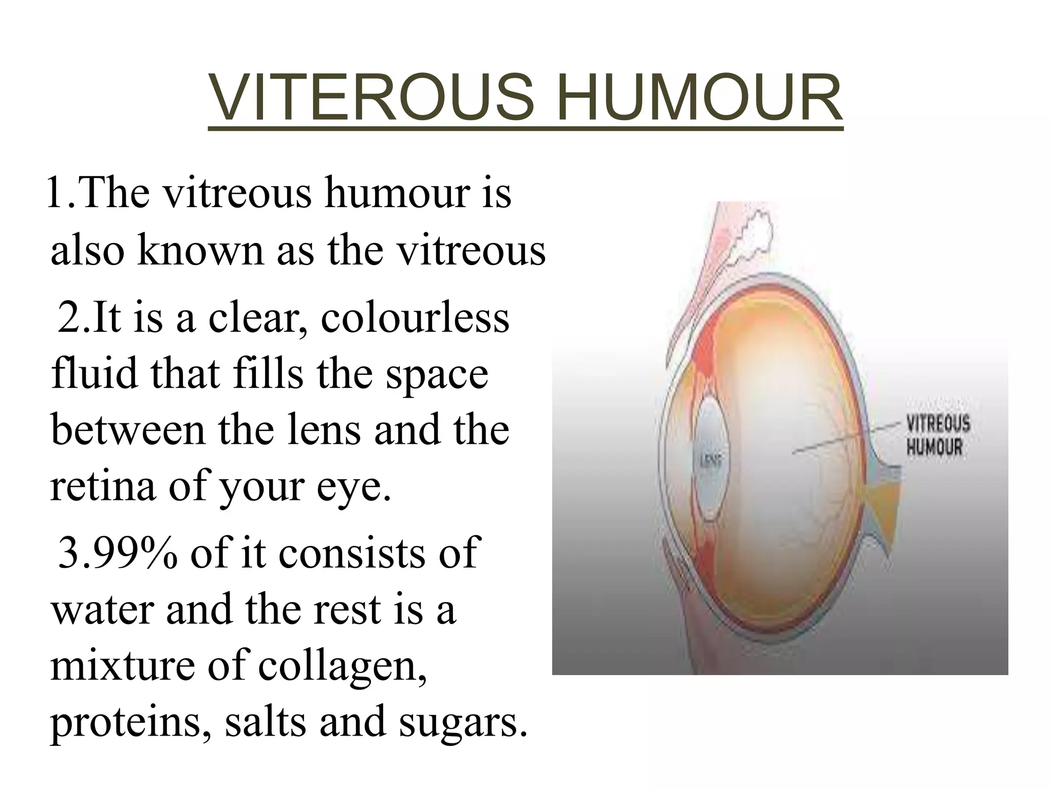 PHYSIOLOGY(OCULAR) PPT.pptx