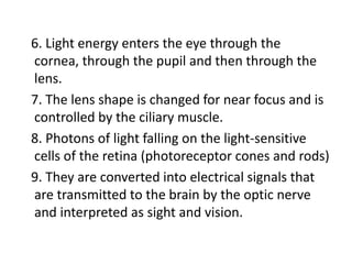 PHYSIOLOGY(OCULAR) PPT.pptx