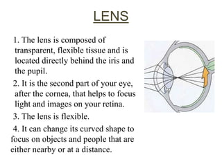 PHYSIOLOGY(OCULAR) PPT.pptx | Eye and Vision Conditions | Diseases and ...