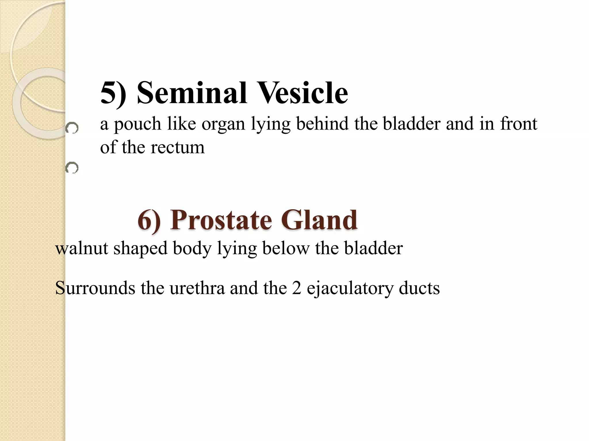 Physiology of reproductive system | PPTX