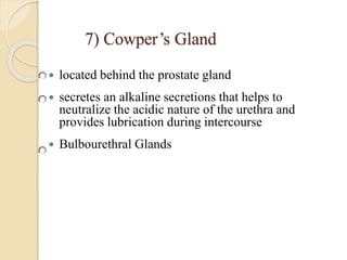 Physiology of reproductive system | PPTX