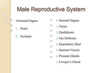 Physiology of reproductive system | PPTX