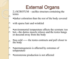 Physiology of reproductive system | PPTX