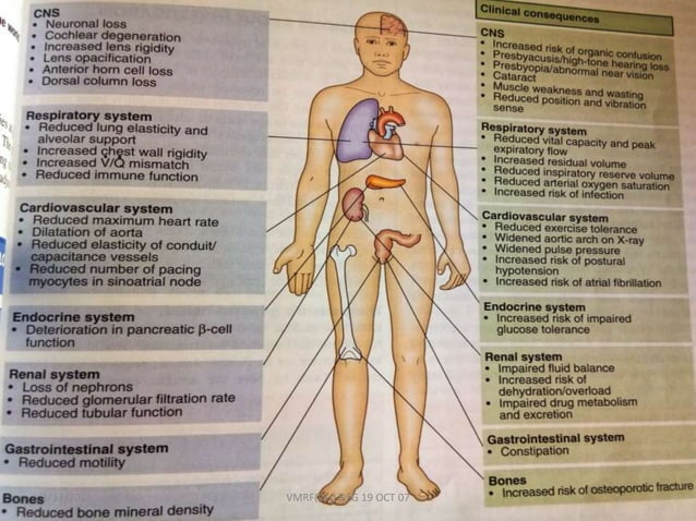 PHYSIOLOGY OF AGING PROCESS | PPT