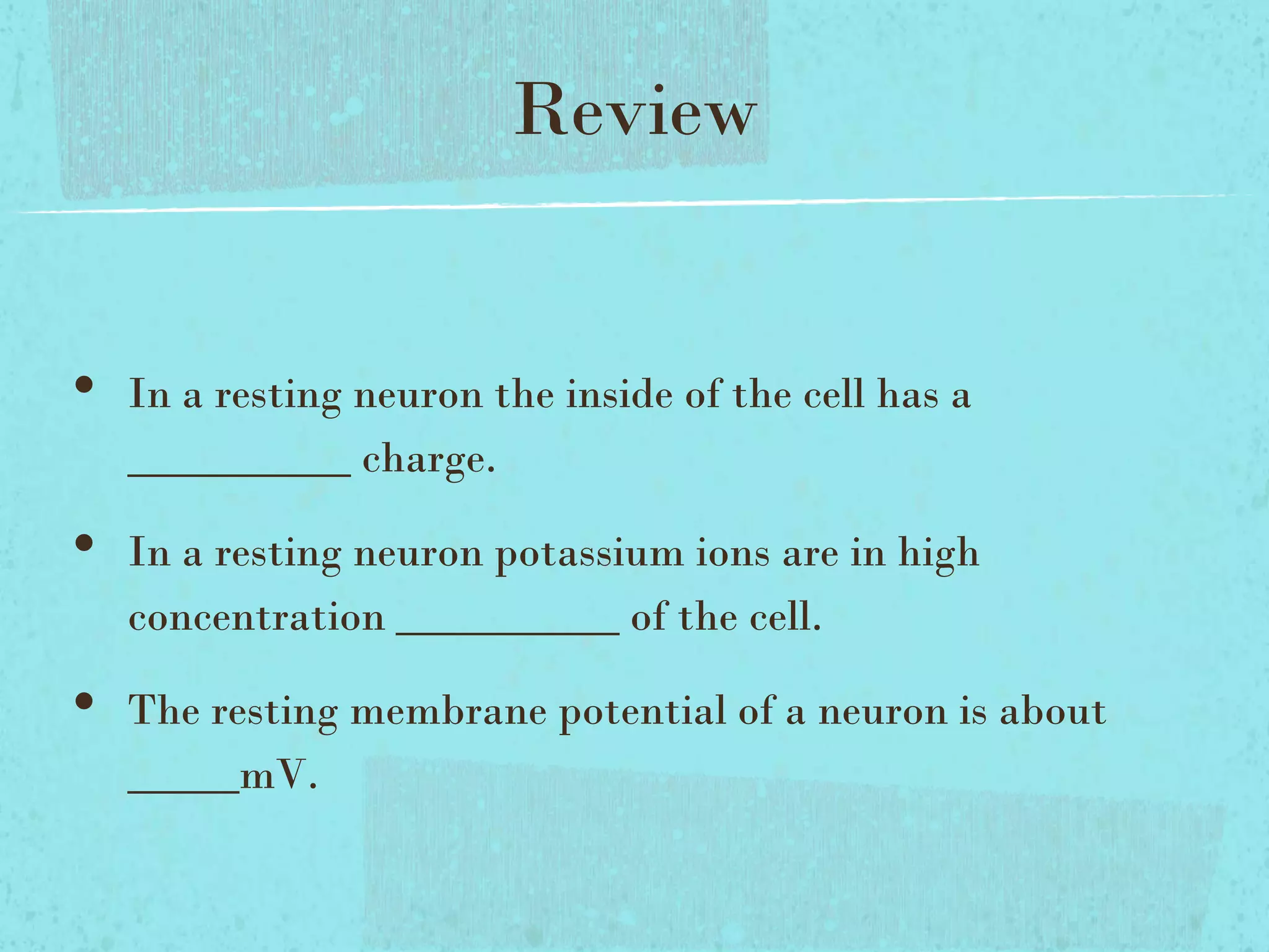 physiology of a neuron(1).pptx