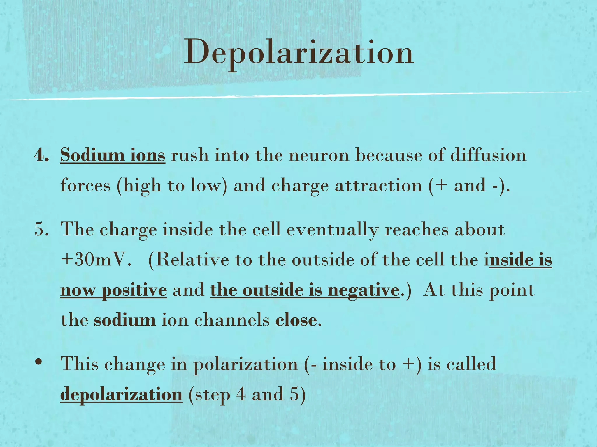 physiology of a neuron(1).pptx