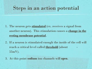 physiology of a neuron(1).pptx