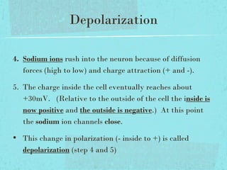 physiology of a neuron(1).pptx
