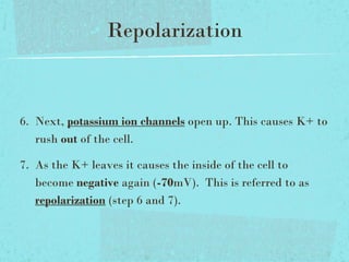 physiology of a neuron(1).pptx
