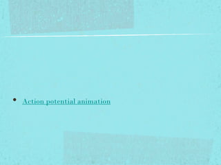 physiology of a neuron(1).pptx | Computer Networking | Computing