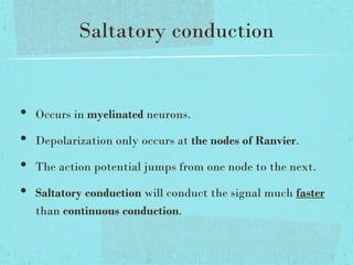 Saltatory Conduction Vs Continuous Conduction