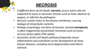 physiology of apoptosis first year mbbs medical.pdf