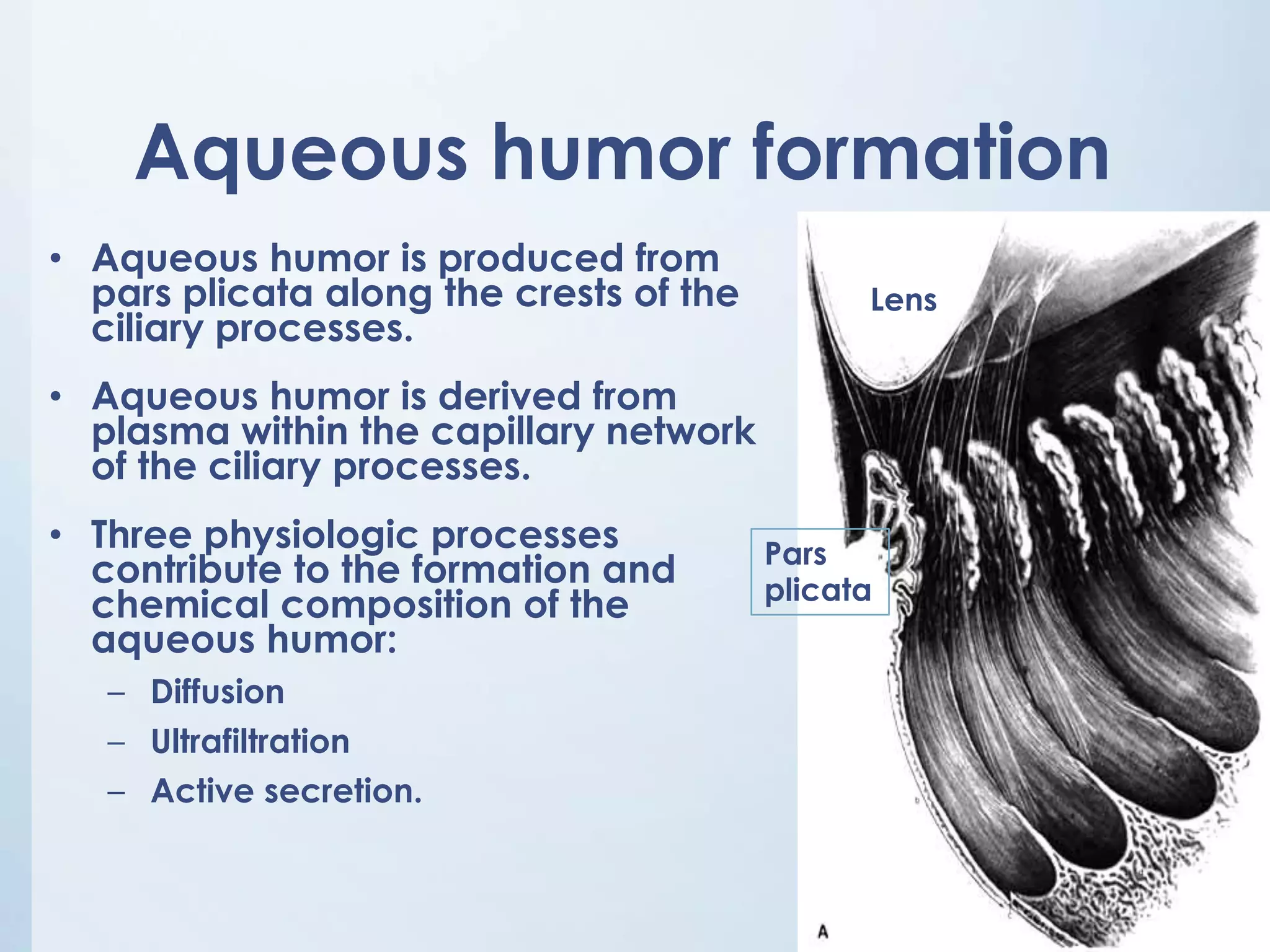 Physiology of aqueous humor | PPTX