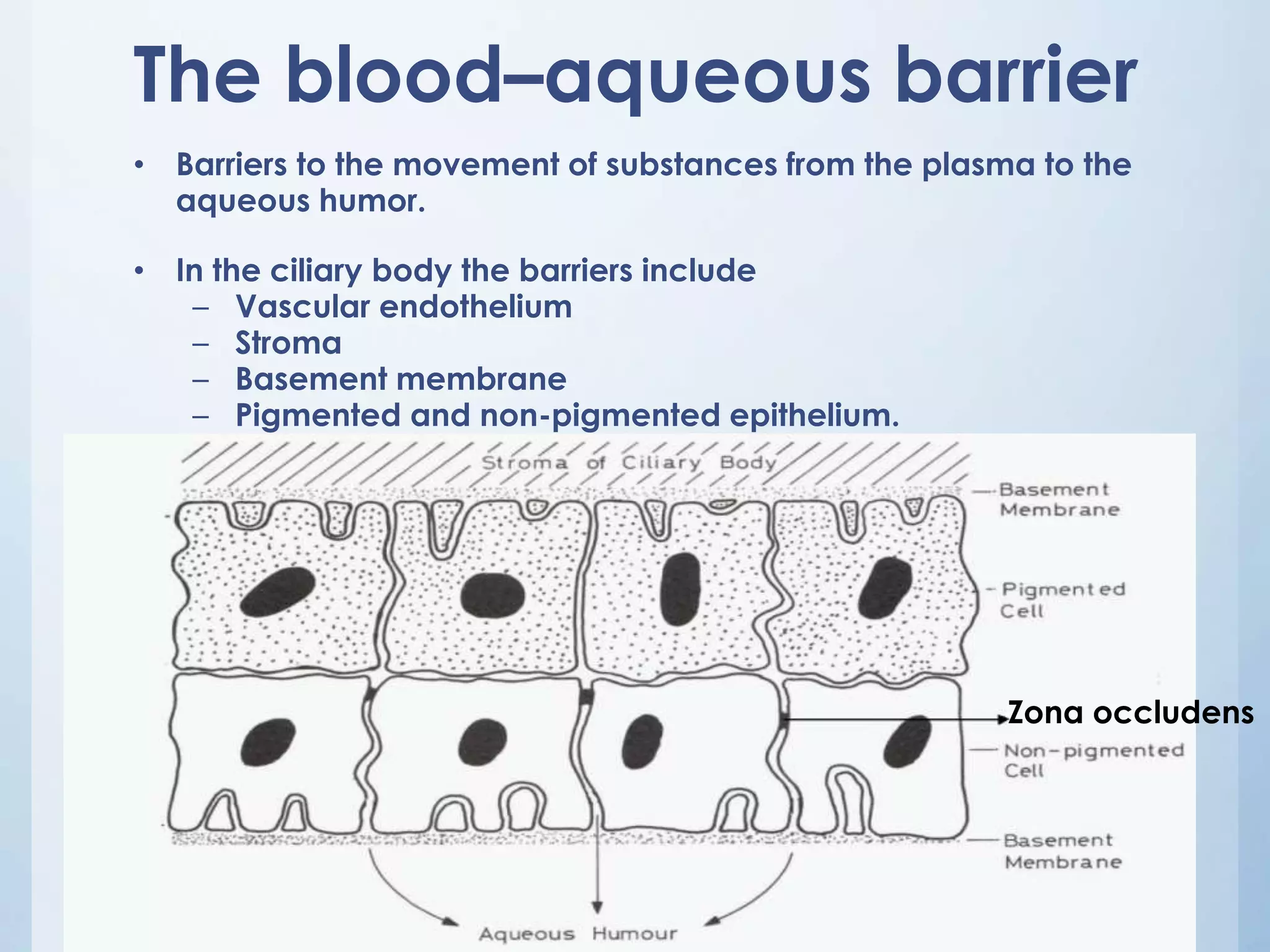 Physiology of aqueous humor | PPTX