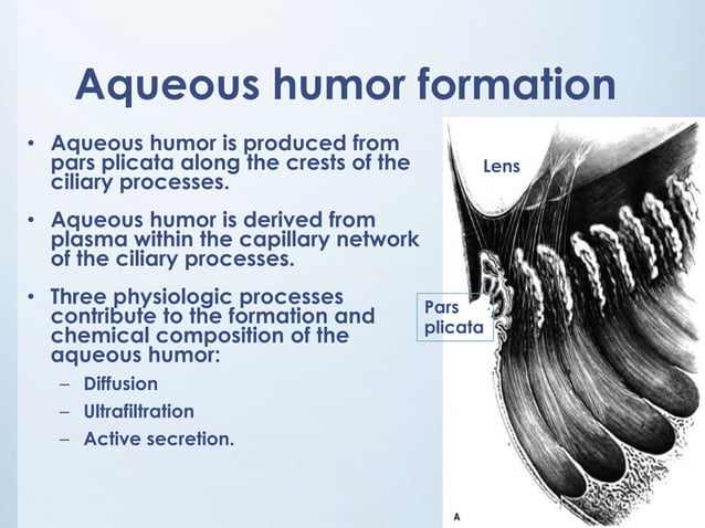 Physiology of aqueous humor | PPTX