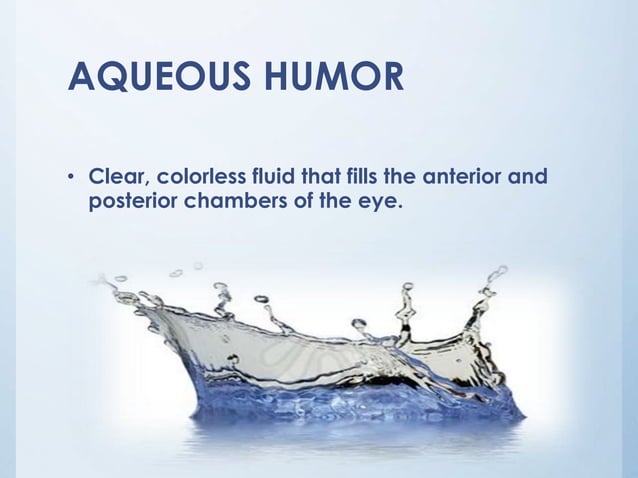 Physiology of aqueous humor
