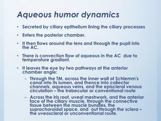 Physiology of aqueous humor | PPT