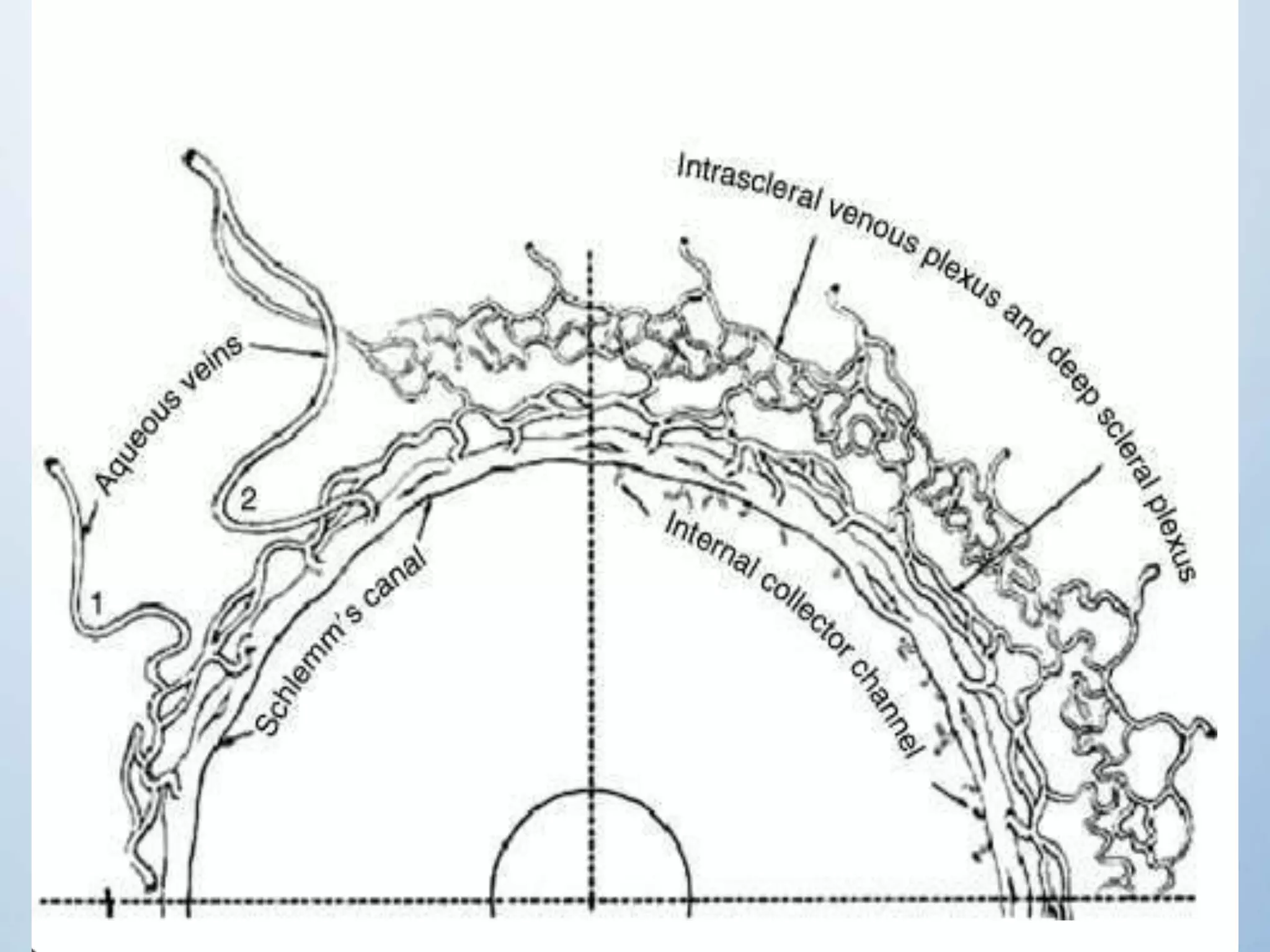 physiology of aqueoushumor-140302140543-phpapp01 (1).pptx