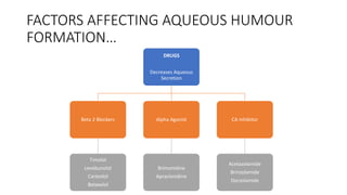 PHYSIOLOGY OF AQUEOUS HUMOUR & IOP REGULATION 3.pptx
