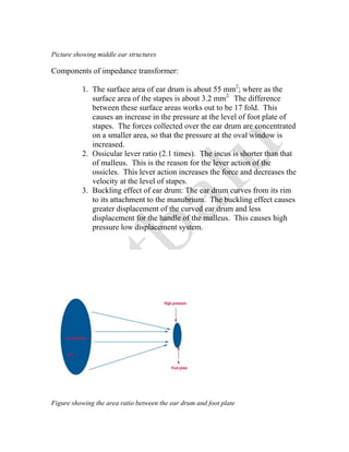 Physiology of auditory system | PDF
