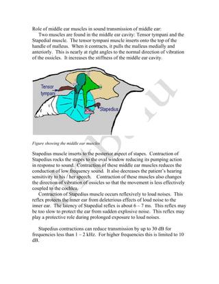 Physiology of auditory system | PDF