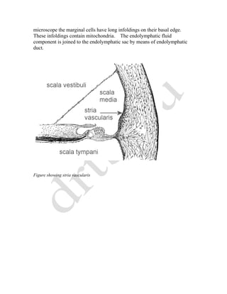 Physiology of auditory system | PDF