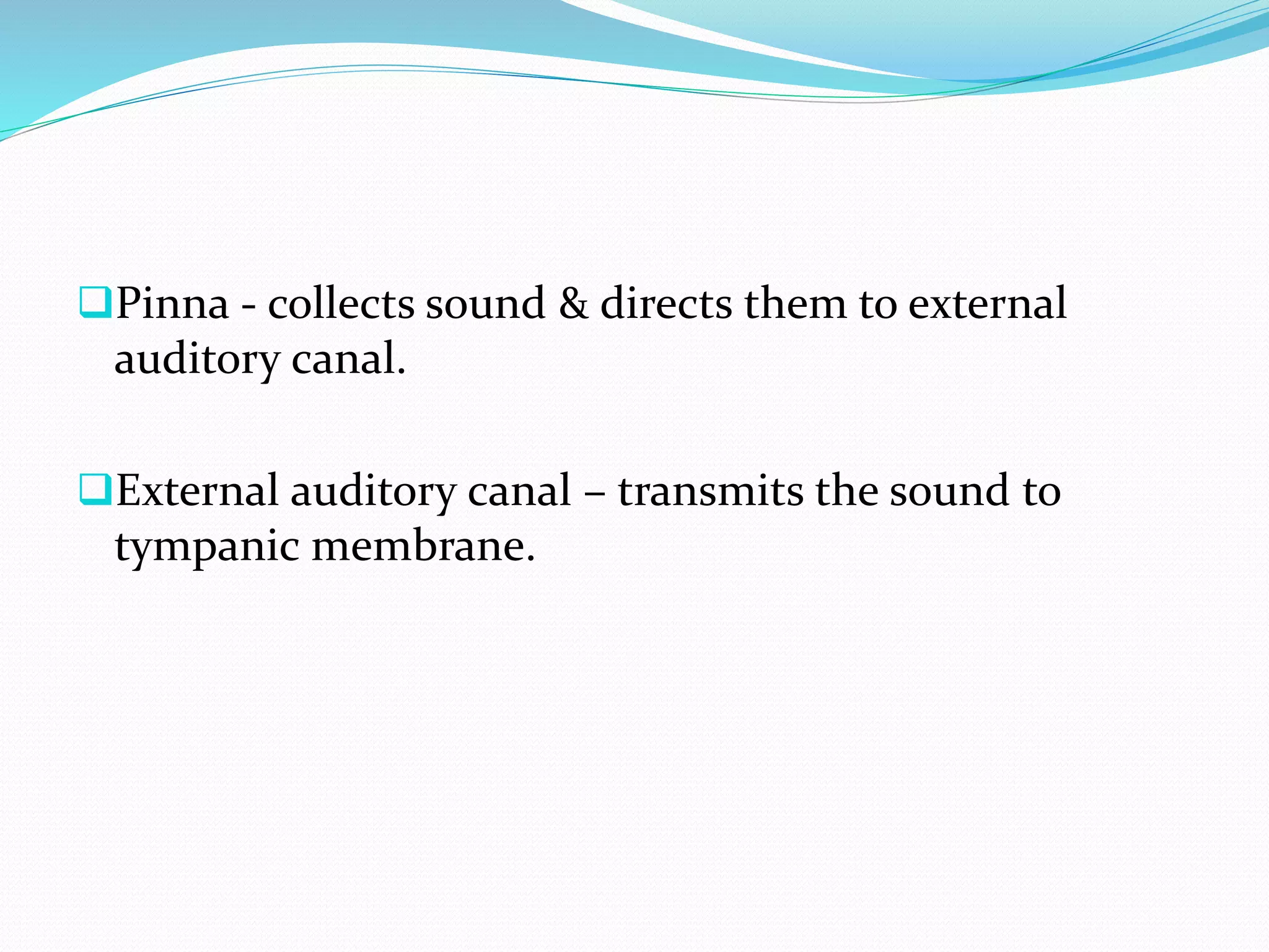 PHYSIOLOGY OF AUDITORY SYSTEM (2) (1).pdf