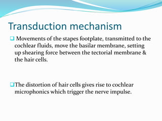 PHYSIOLOGY OF AUDITORY SYSTEM (2) (1).pdf