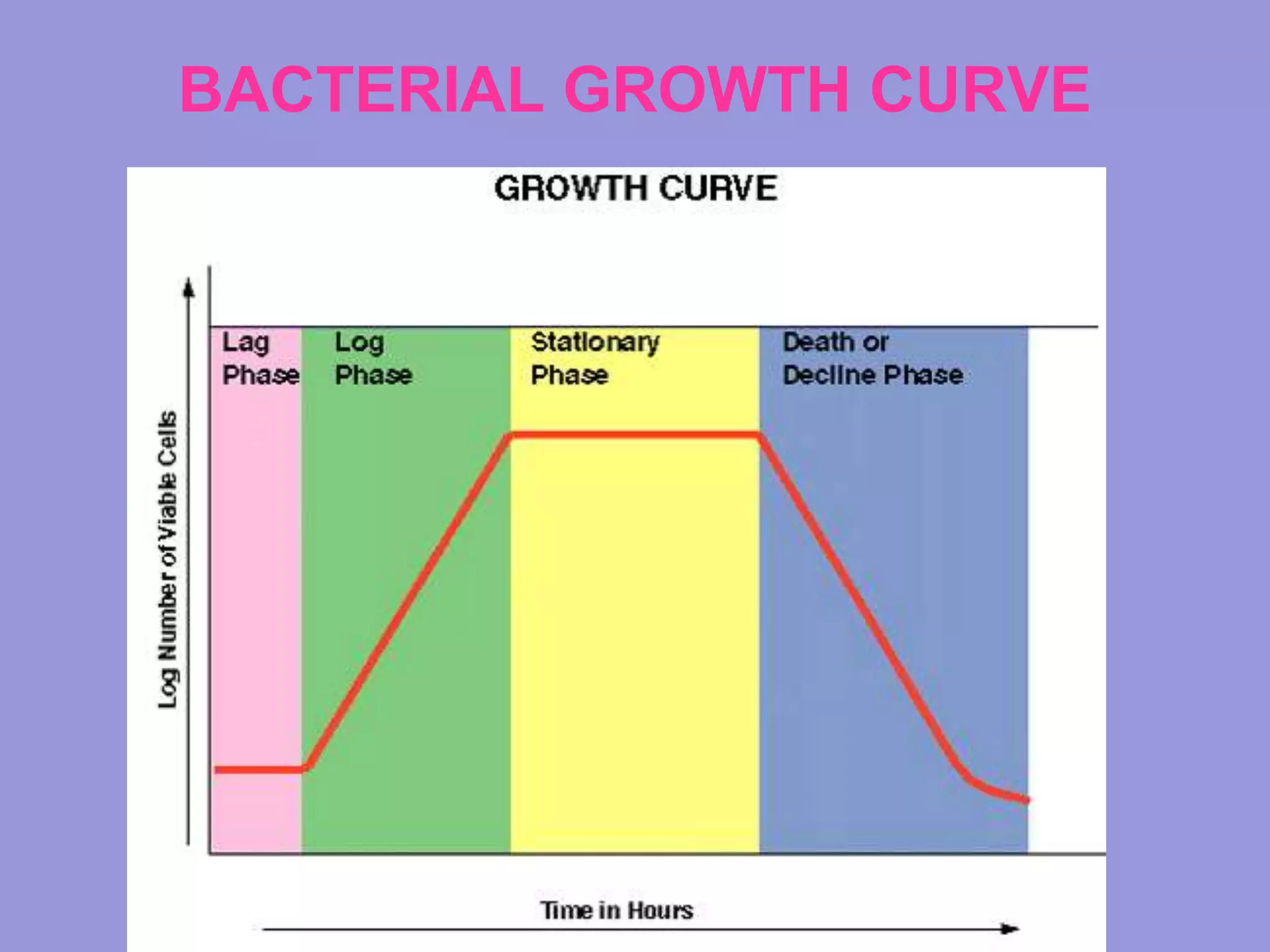 Physiology of bacteria | PPT