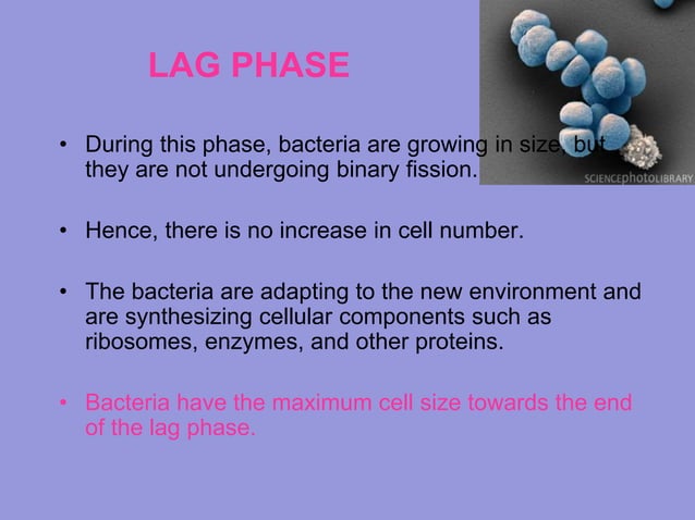 Physiology of bacteria | PPT