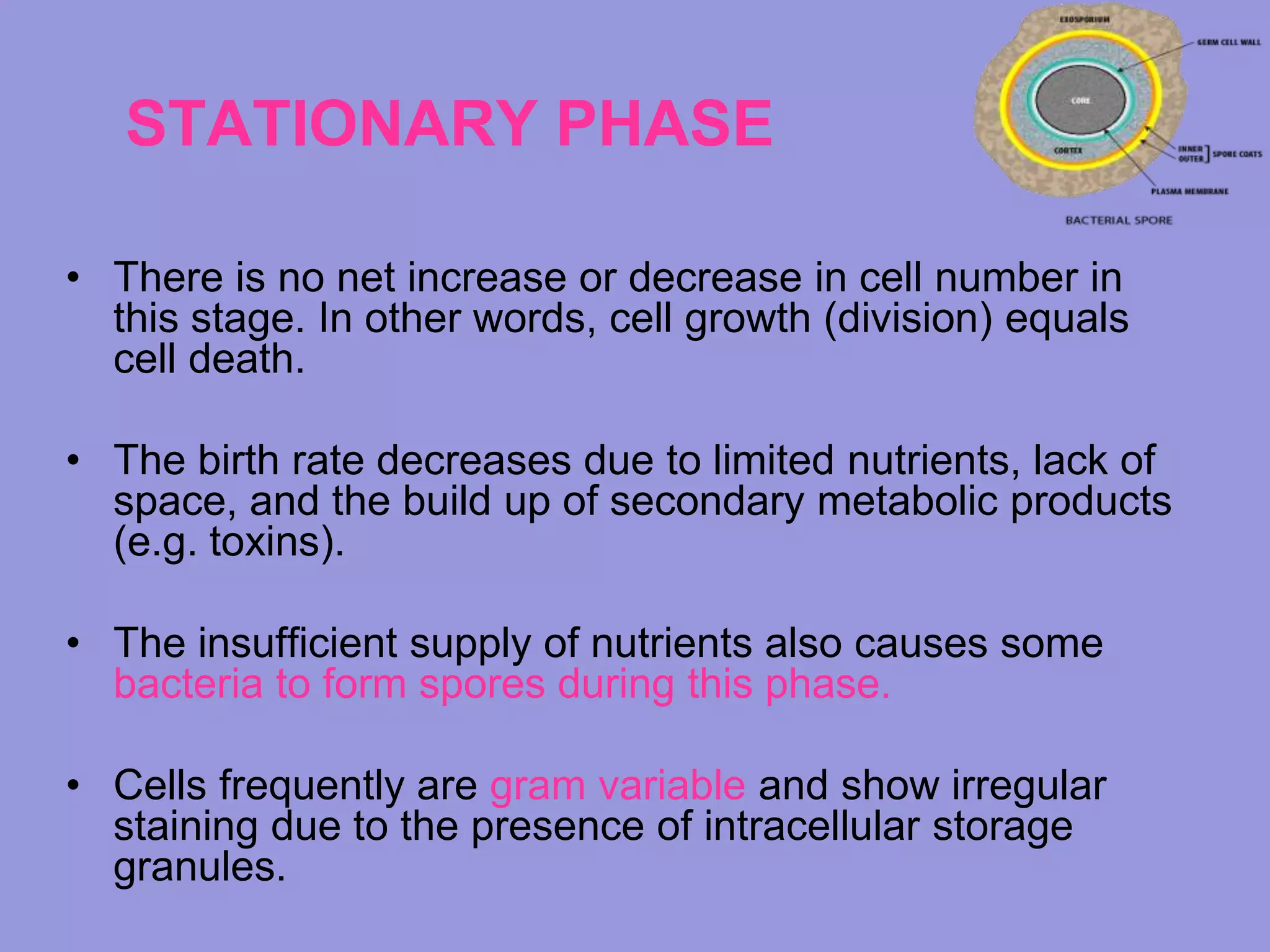 Physiology of bacteria | PPTX