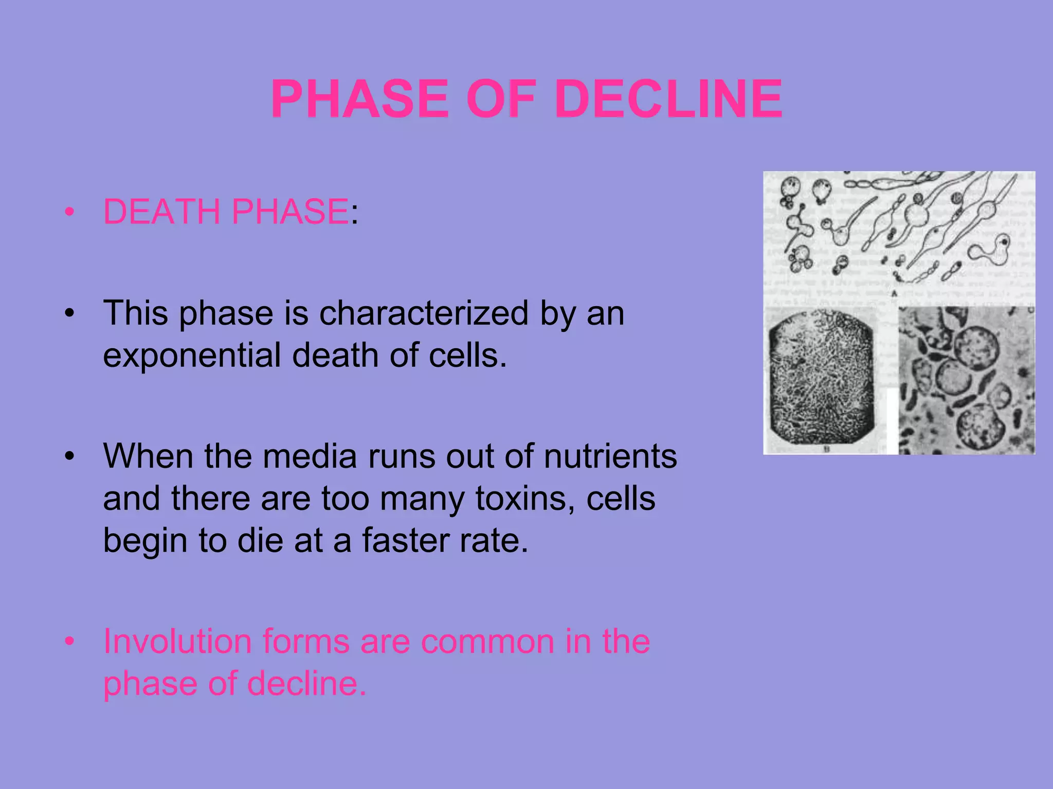 Physiology of bacteria | PPTX
