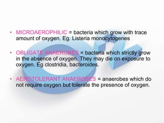 Physiology of bacteria | PPTX
