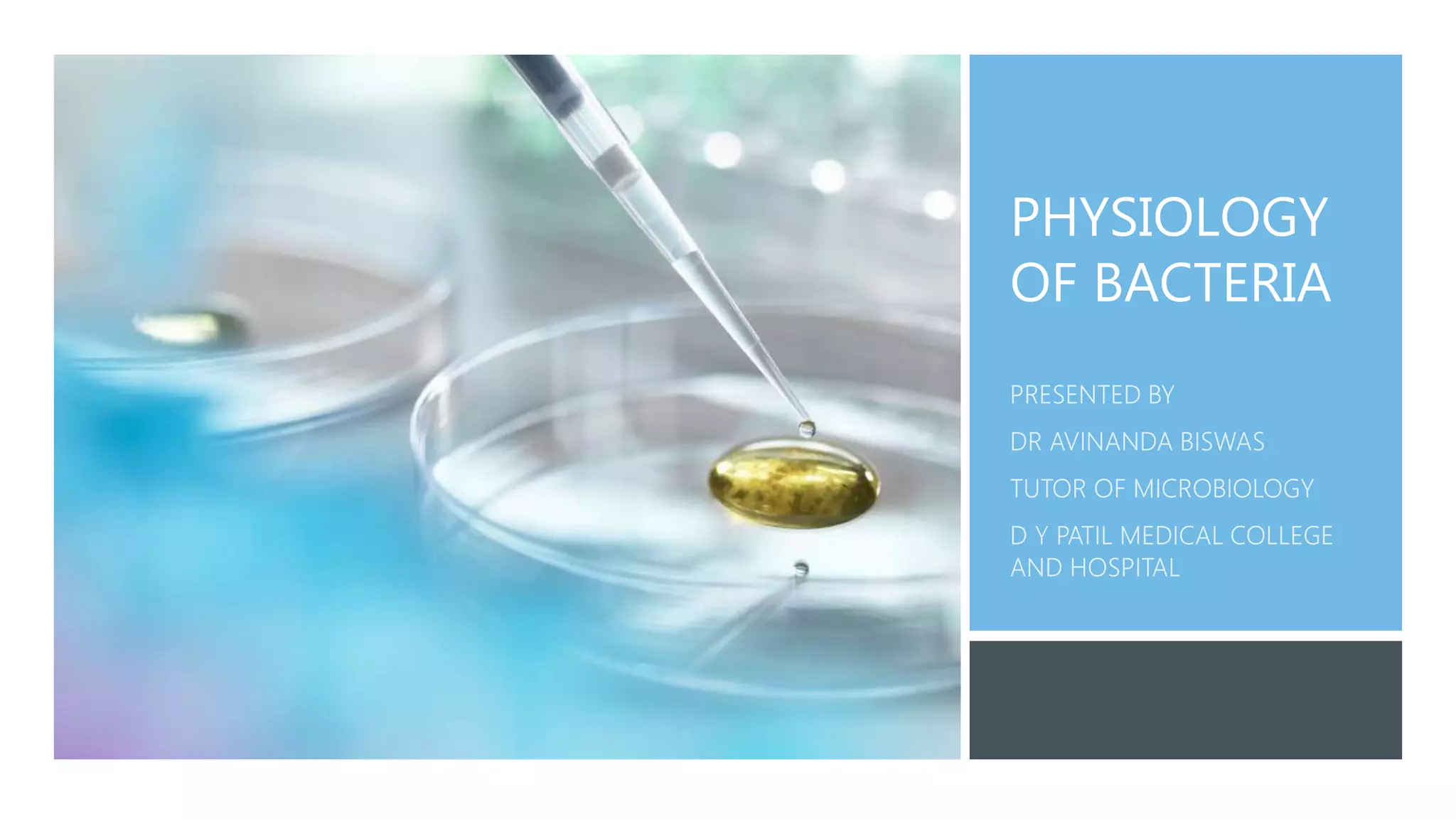 Physiology of bacteria | PPTX