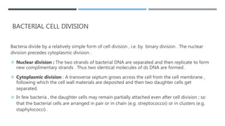 Physiology of bacteria | PPTX
