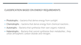 Physiology of bacteria | PPTX