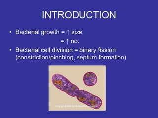 PHYSIOLOGY OF BACTERIA.ppt