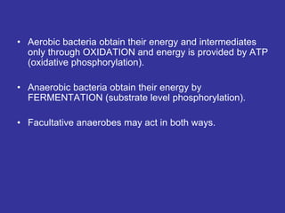 PHYSIOLOGY OF BACTERIA.ppt