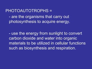 PHYSIOLOGY OF BACTERIA.ppt