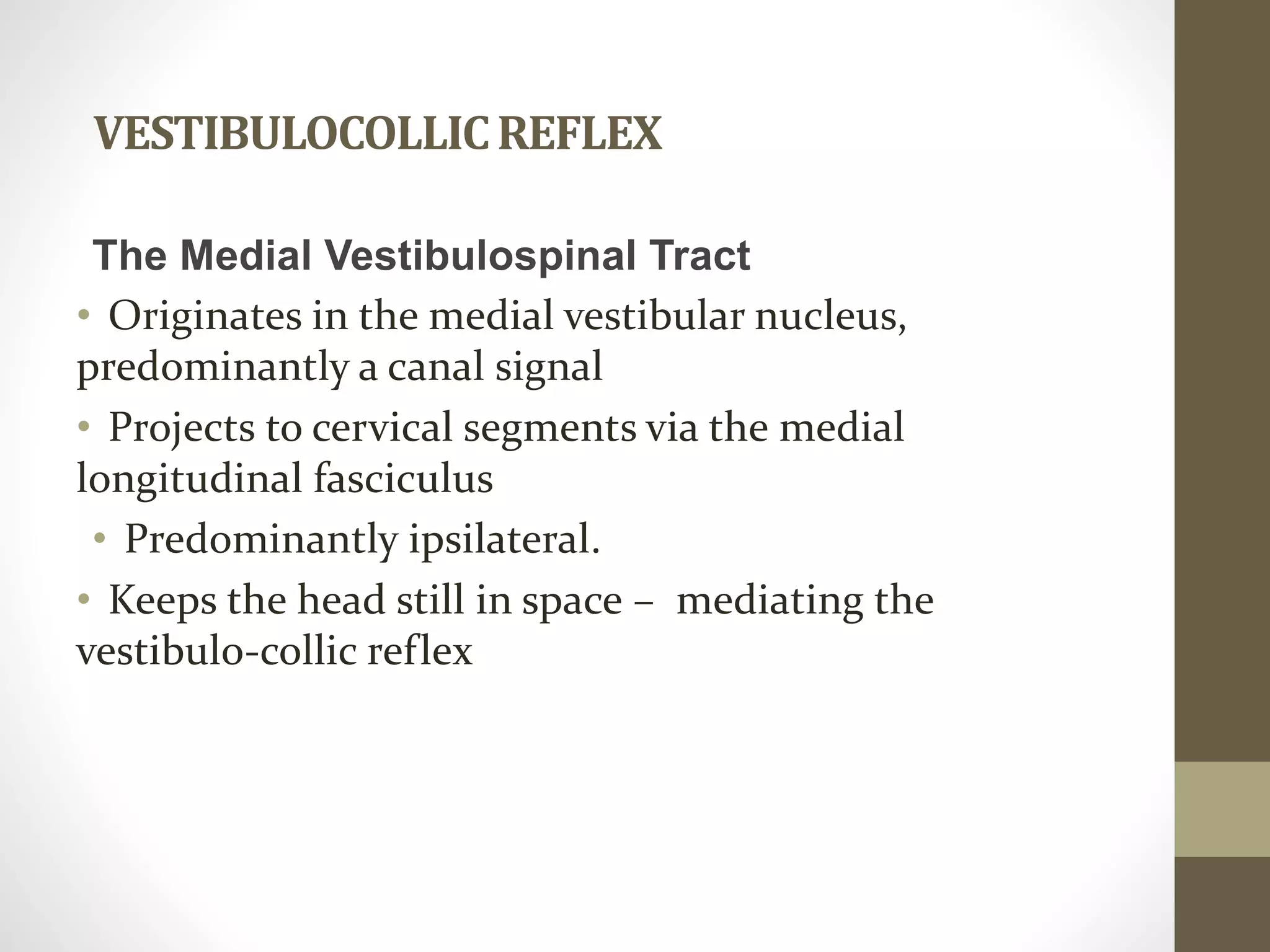 Physiology of balance | PPTX