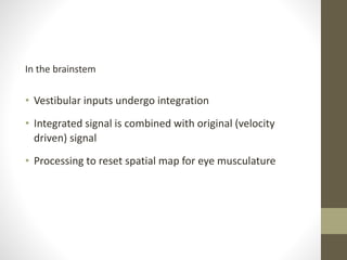 Physiology of balance | PPTX