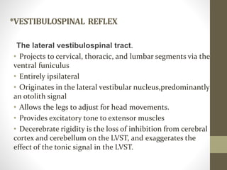 Physiology of balance | PPTX