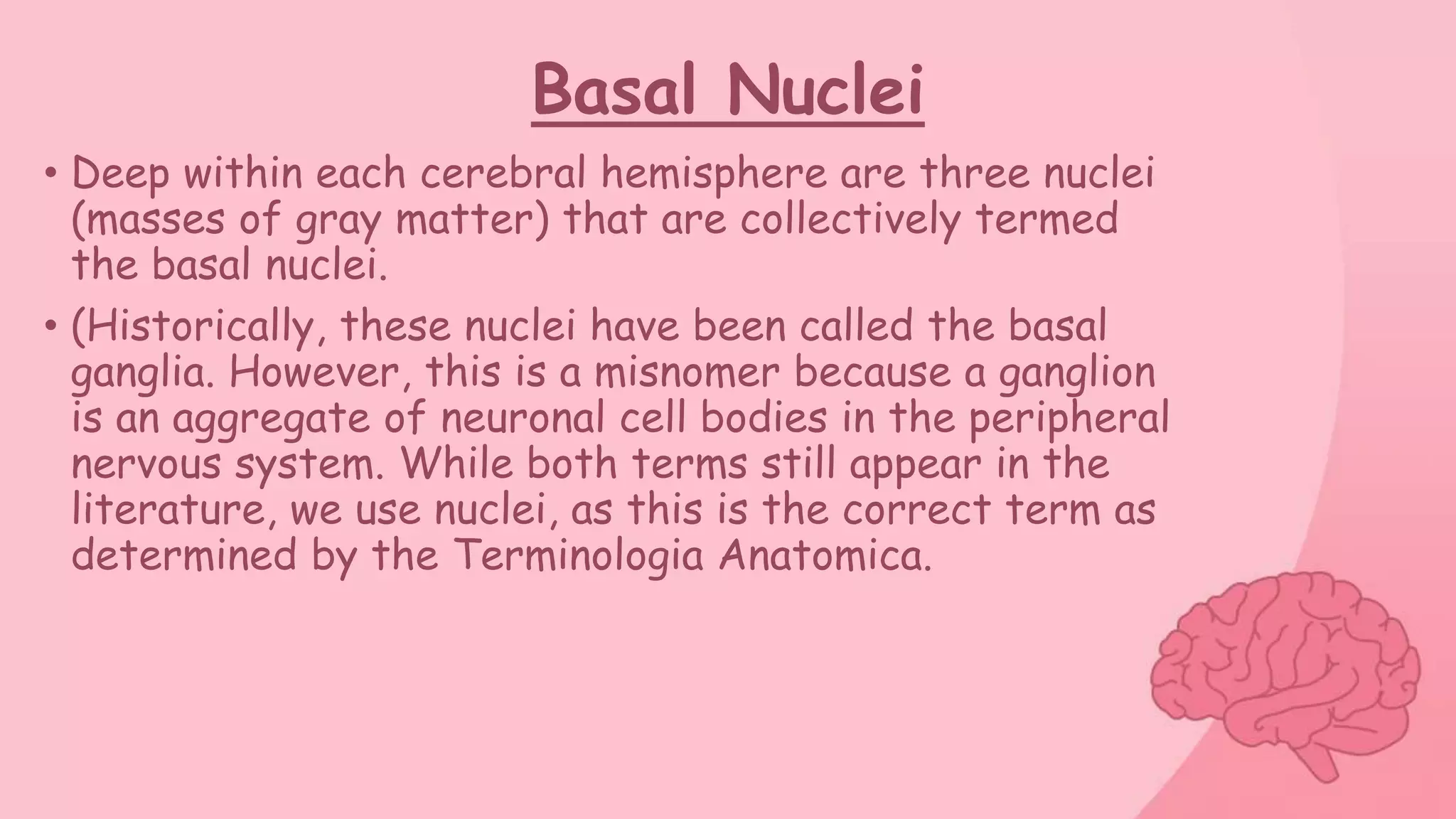 Physiology of basal nuclei | PPTX