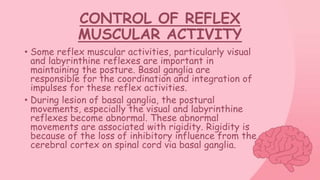 Physiology of basal nuclei | PPTX