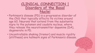 Physiology of basal nuclei | PPTX
