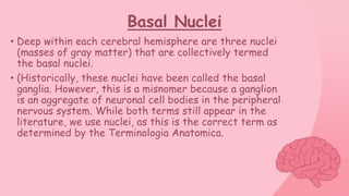Physiology of basal nuclei | PPTX