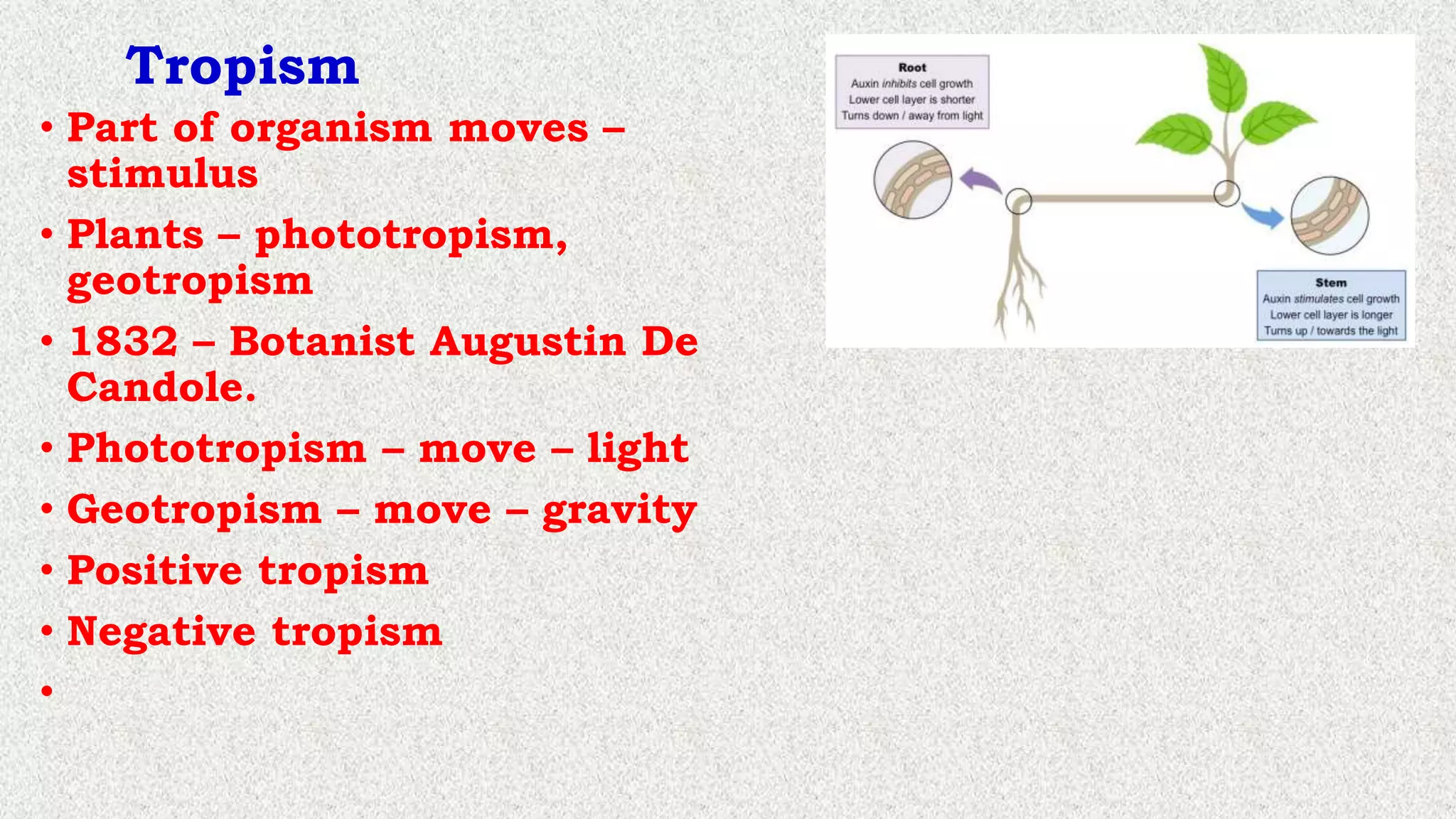 Physiology of Behaviour.pptx