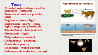 Physiology of Behaviour.pptx