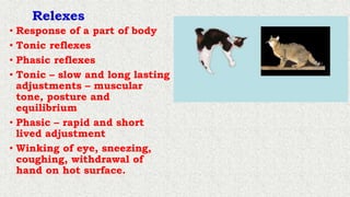 Physiology of Behaviour.pptx