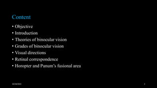Binocular vision | PDF
